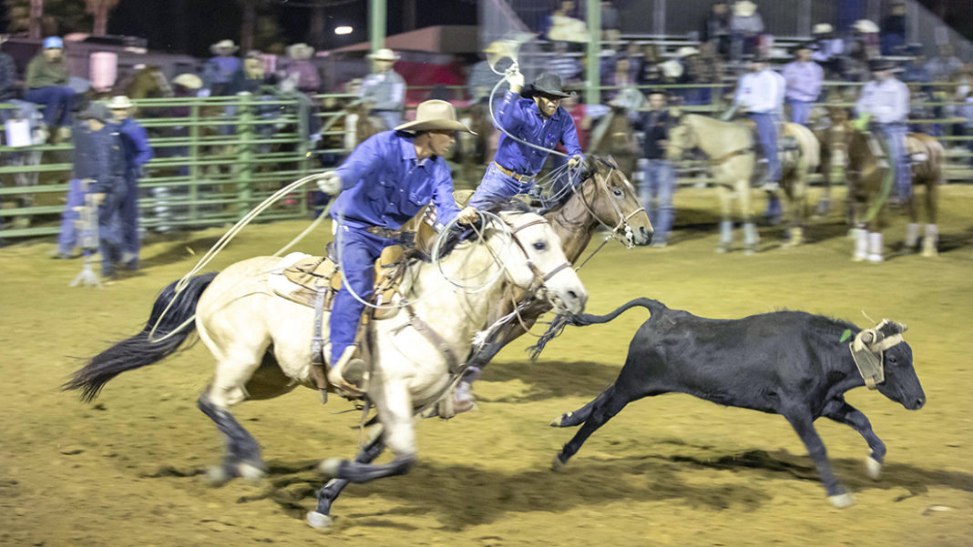 Riders, Ropers Kick Up Some Dust at Morongo’s Annual Rodeo - Indian Gaming